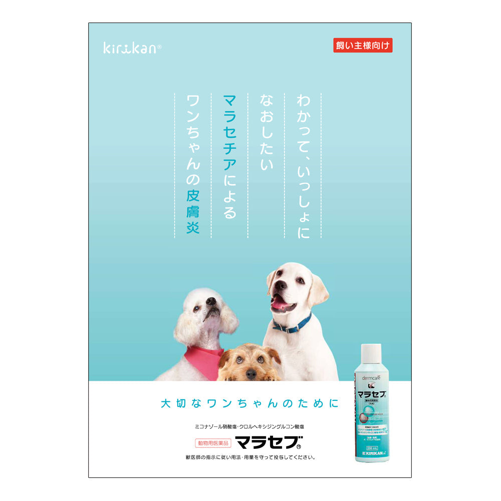 マラセブ リーフレット – KIRIKAN オンラインストア